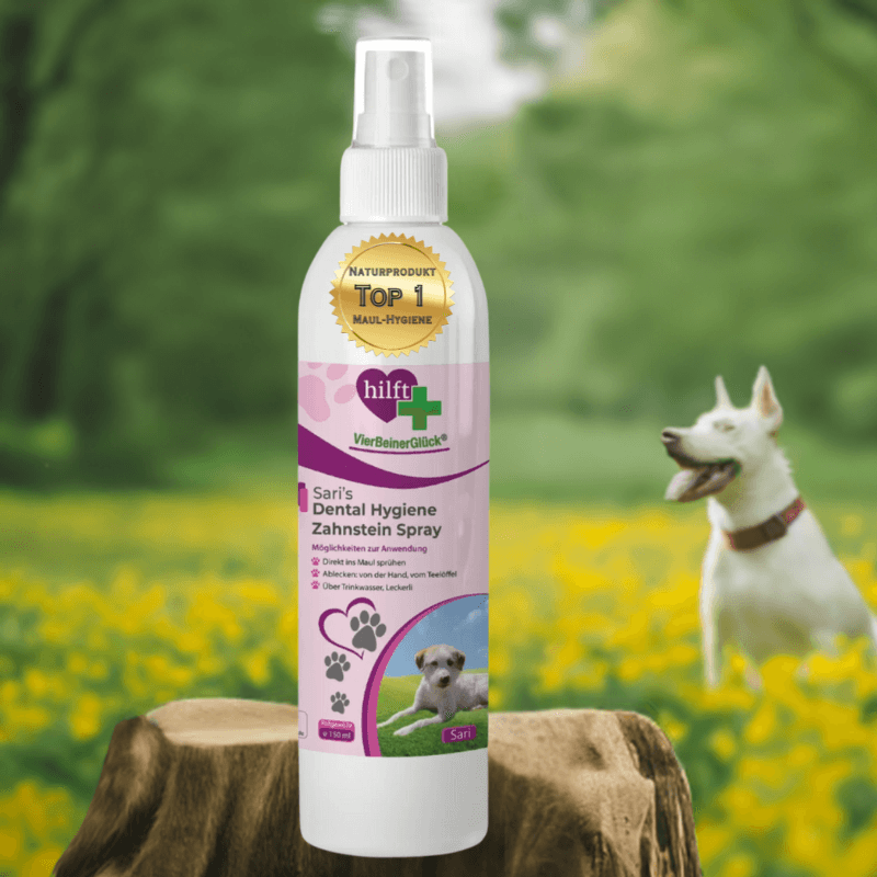 Hunde Zahnstein-Dental Spray – VierBeinerGlück Vital e. K.